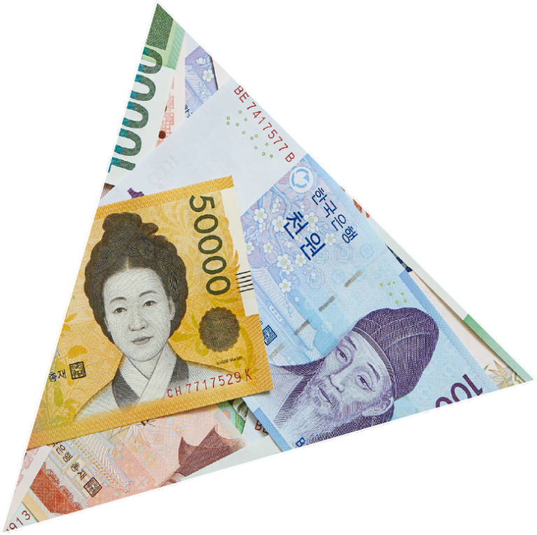 A Turning Tide for the South Korean Won - Trium Capital
